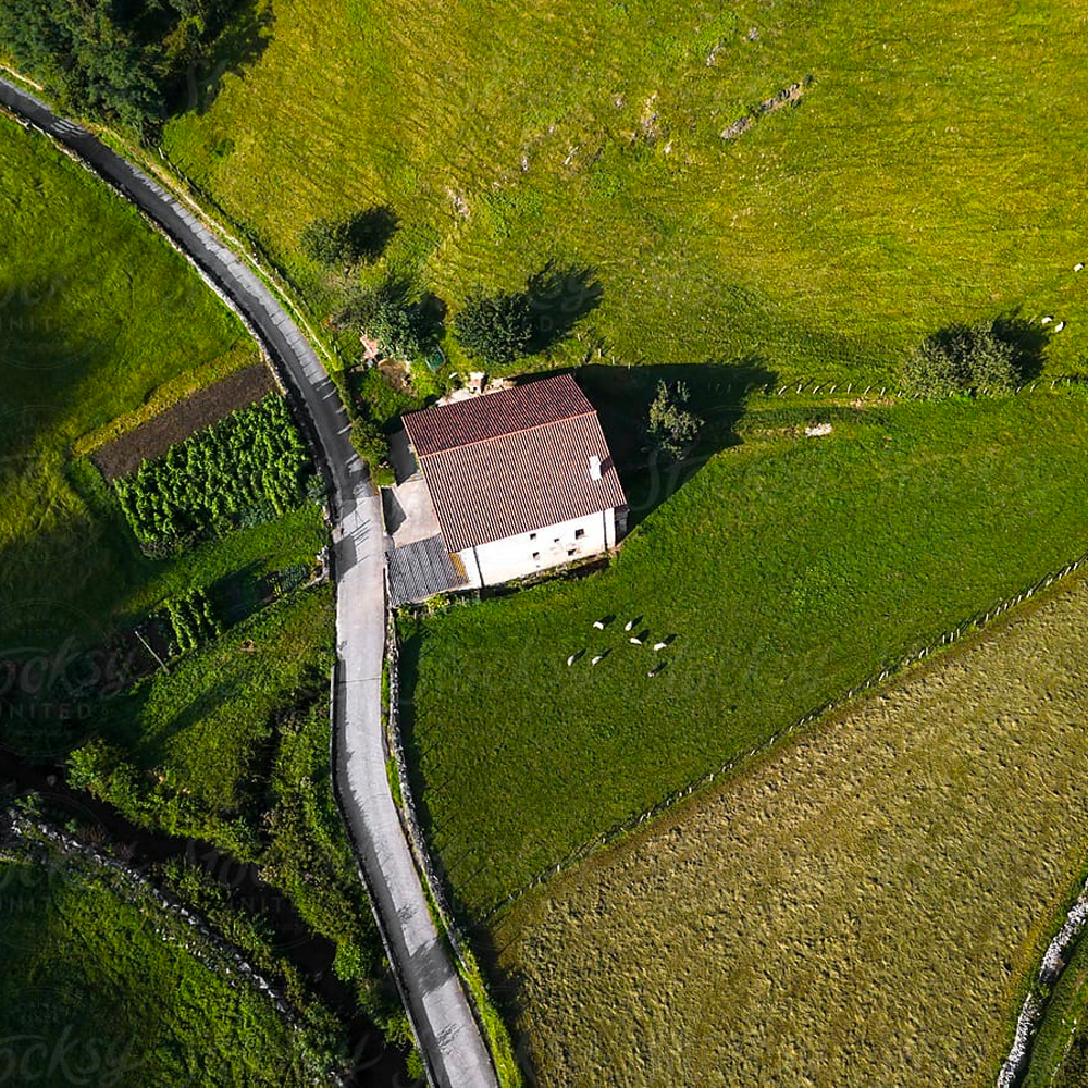 Why Choose Solar Energy | Evergen, Solar Panel & Battery Installation